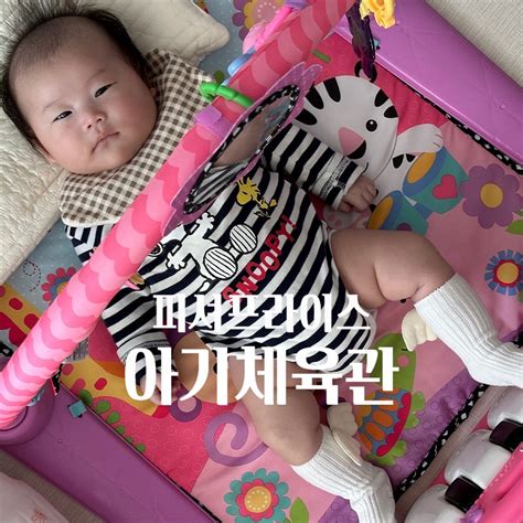 피셔프라이스 아기체육관 사용시기 생후 2개월 아이 신생아 장난감 네이버 블로그