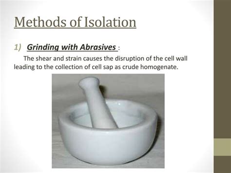 Methods Of Enzyme Isolation And Purification Pptx