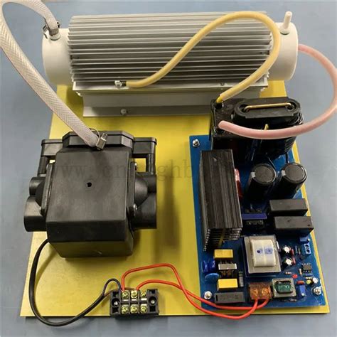 Multi Functional 220v 20g Ozone Generator Sterilization Module For Water Treatment Buy Ozone