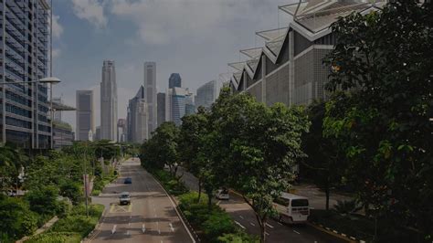 csrwire collaborating for net zero insights and strategies for