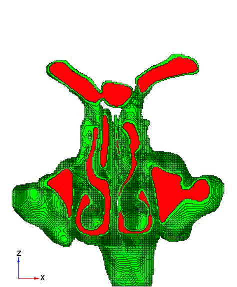 4 Cross Section Of The Voxel Mesh Left And Simulation Results