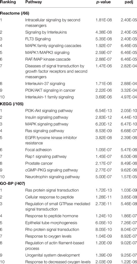 Top 10 Signaling Pathways And Biological Processes In Integration