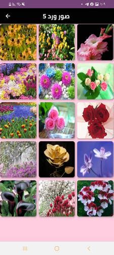 Download صور ورد 9 Android Apk File