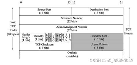 杭电计网实验1 Csdn博客