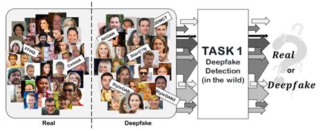 Ampeds New Deepfake Detection Algorithm
