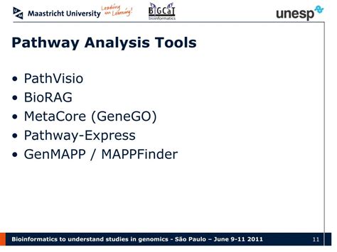 Ppt Pathway Analysis Powerpoint Presentation Free Download Id4585549