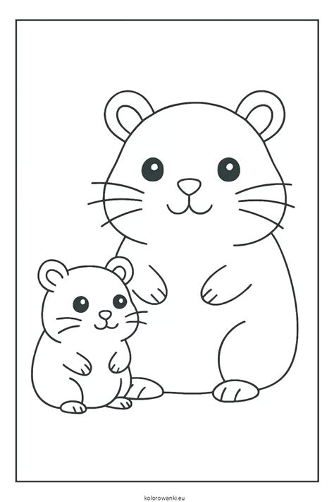 Chomik Mały I Duży Kolorowanka Z Dwoma Chomikami Kolorowankieu