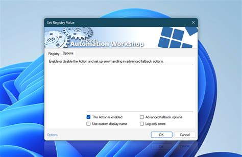 Options For The Set Registry Value Action