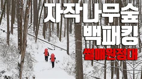 정선 자작나무숲 설산 백패킹 썰매원정대 🏕️ Youtube