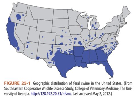 Pseudorabies Flashcards Quizlet