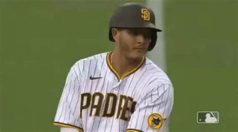 San Diego Padres  San Diego Padres Padres Discover And Share S