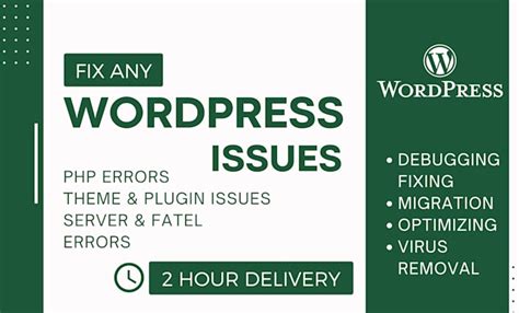 Fix Wordpress Php Themes Plugins And Fatal Errors And Seo By Ahmadsaeed68 Fiverr