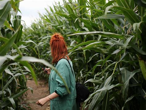 Fotofuchs „der Erfurter Norden Wird Immer Stark Unterschätzt“