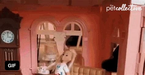 This Is Fine 9gag This Is Fine 9gag