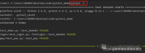 Pytest之收集用例及命令行参数pytest 收集方法 Csdn博客