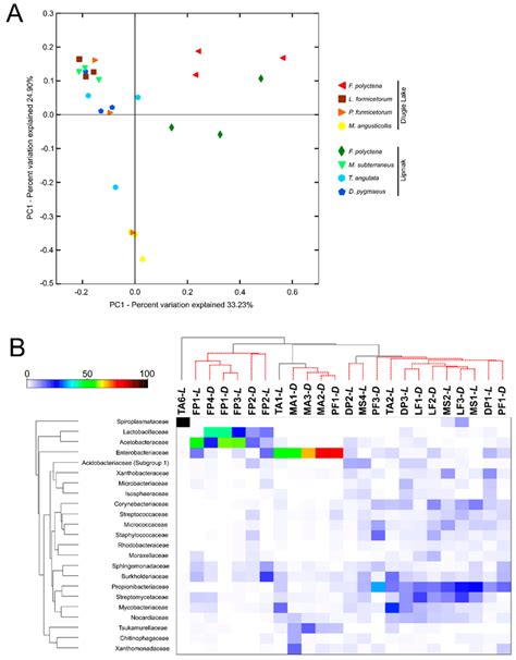 Principal Coordinate Analysis Pcoa Plot And The Heatmap Showing