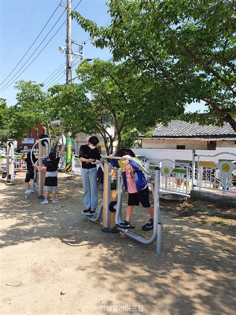 고령초등학교 운동장 야외 운동기구 설치