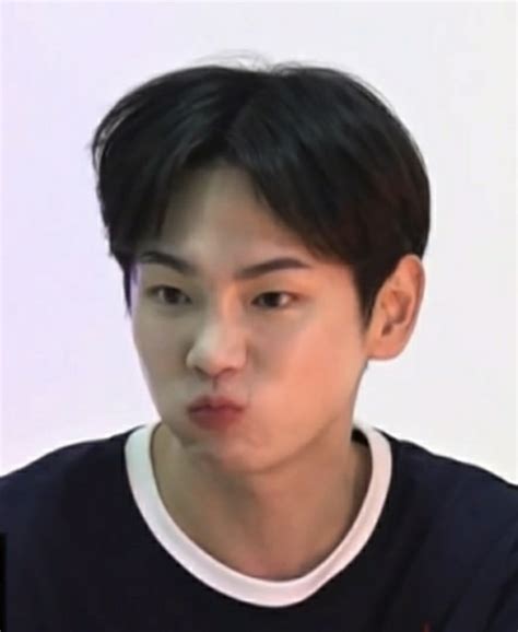 Blip 햅삐키범벌스데이