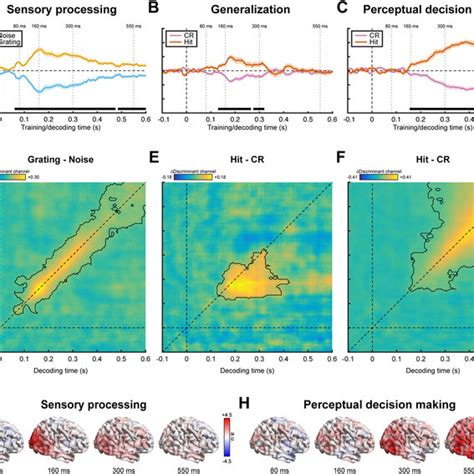 Decoding Results For Training And Decoding Within The Functional Download Scientific Diagram