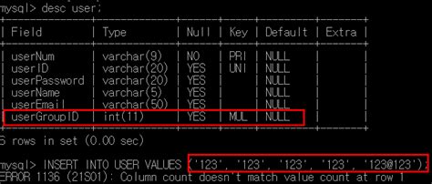 Column Count Doesnt Match Value Count At Row 1 — Falcon