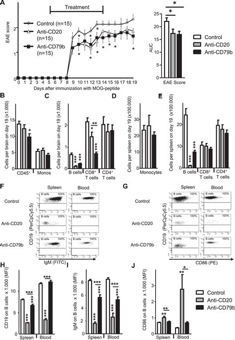 B‐cell Modulation With Anti‐cd79b Antibodies Ameliorates Experimental
