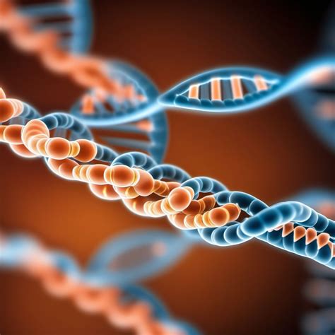 Congenital Dislocation Of Hip Unila Q65 0 Dx