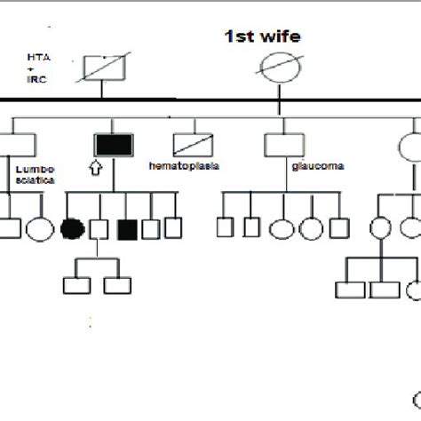 The Unified Criteria For Ultrasonographic Diagnosis Of Adpkd Ravine