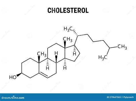 Cholesterol Structural Formula Of Molecular Structure Stock Vector Illustration Of Organism