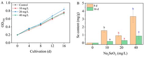 Effects Of Selenite On Growth And Selenium Accumulation In Three