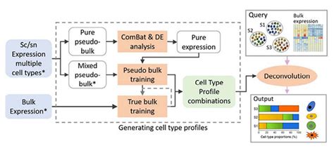 cellmap characterizing the types and composition of ipsc derived