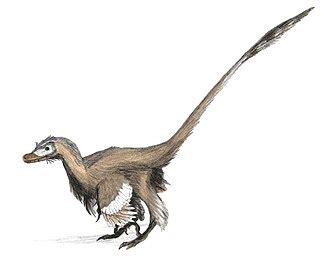 Llista De Dinosaures Viquipèdia Lenciclopèdia Lliure