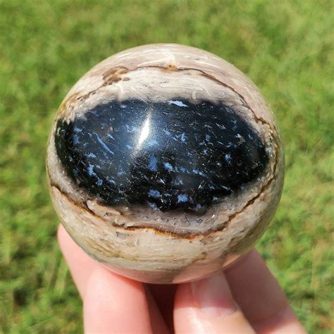 Fossilized Palm Root Sphere Indonesia Bonus T Hematite Ring Etsy