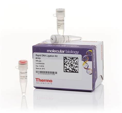 Thermo Scientific Rapid Dna Ligation Kit 150 Reactions Buy Online