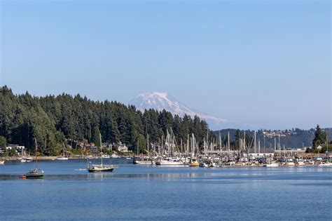 Olympia Timberland Library Olympia Timberland Library