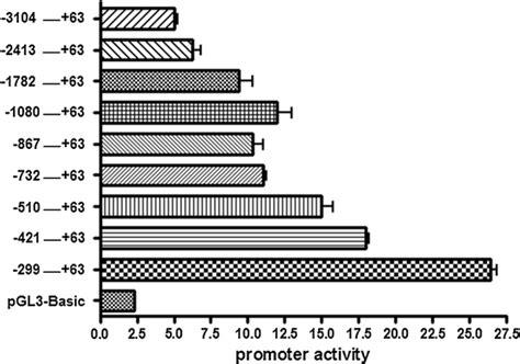 Schematic Representation Of Human Lfr Gene Promoter Constructs Lfr