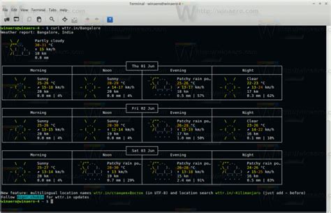 How To Get Weather Forecast In Linux Console