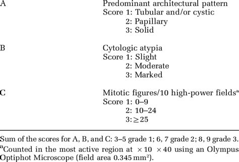 Scoring System Used For Grading Download Table