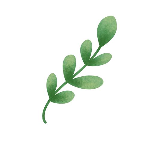 Cute Green Leaf 25346990 Png