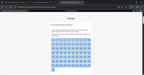 Mentiby Webdevelopment Html Css Freecodecamp Learningjourney