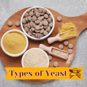 Types Of Yeast
