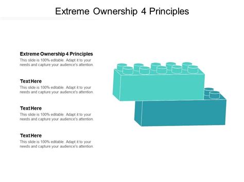 Extreme Ownership 4 Principles Ppt Powerpoint Presentation Layouts Files Cpb Presentation