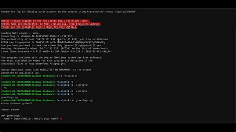 Debugging Python Scripts || Solutions || Google || Coursera || Qwiklabs - YouTube