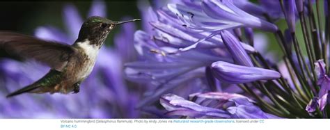 Gbif Policy And Science Croment Workshop On Biodiversity Data And The
