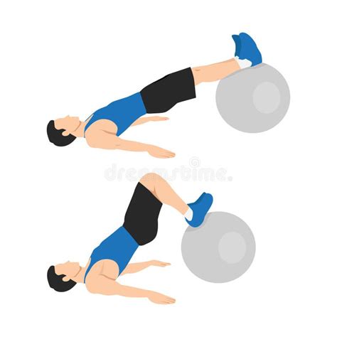 Hamstring Exercise Curl Stock Illustrations 35 Hamstring Exercise Curl Stock Illustrations