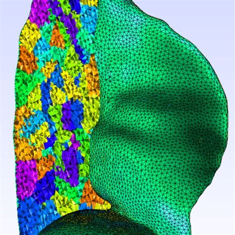 Left Lung Mesh Subdivision Based On A Ten Generation Tree Structure