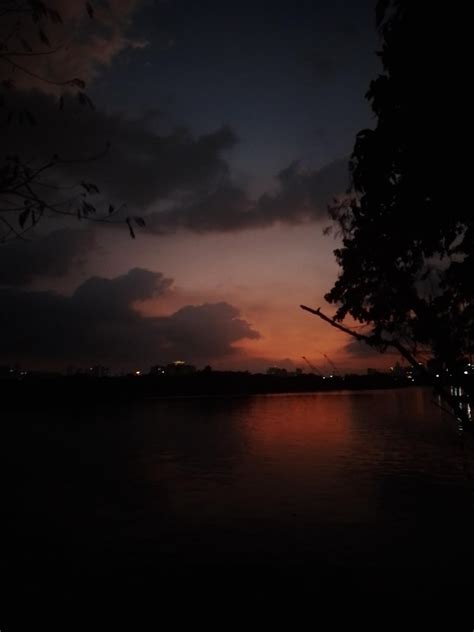 Ilog Pasig As Seen At Pup Linear Park R Itookapictureph