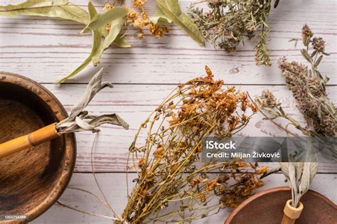 나무 테이블에 마음 몸과 영혼 치유 동종 요법 대체 의학다양한 허브에 하향 식 보기 0명에 대한 스톡 사진 및 기타 이미지 0명 건강관리와 의술 건조한 Istock