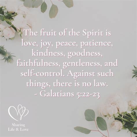 9 Christian Sex Taboos What Is Really Allowed Sharing Life And Love