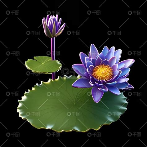 含苞待放ai数字艺术 3d蓝莲花荷花莲叶睡莲池塘小荷紫色花朵植物3d渲染紫色莲花含苞待放盛开场景插画 ai立体元素免费下载 png格式