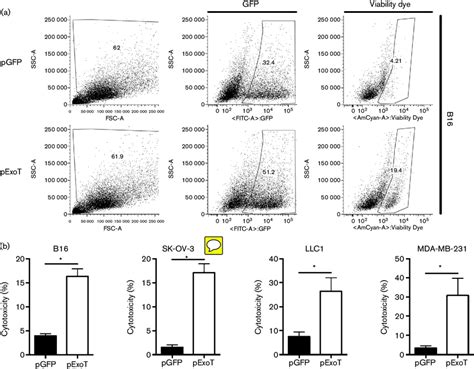 Assessment Of Exot Induced Cytotoxicity In Cancer By Viability Dye